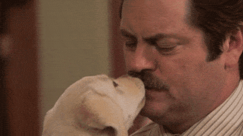 A Showcase of 20 Fantastic Ron Swanson GIFs - TVovermind