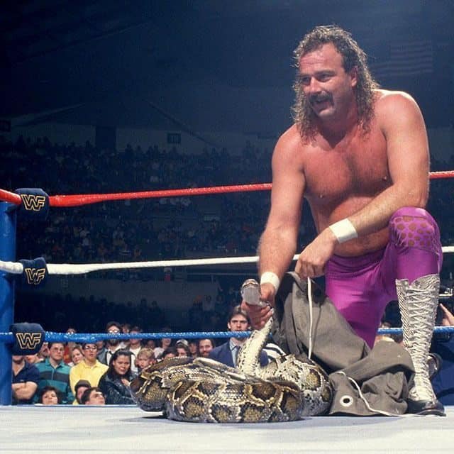 Nostalgic Photos from the Golden Age of Wrestling: The WWF | TVovermind
