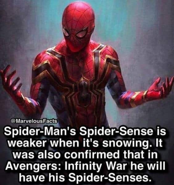 Over 30 Interesting Facts about the Marvel Universe | TVovermind