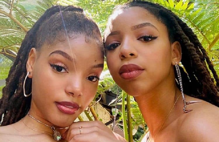 10 Things You Didn’t Know about Halle Bailey - TVovermind