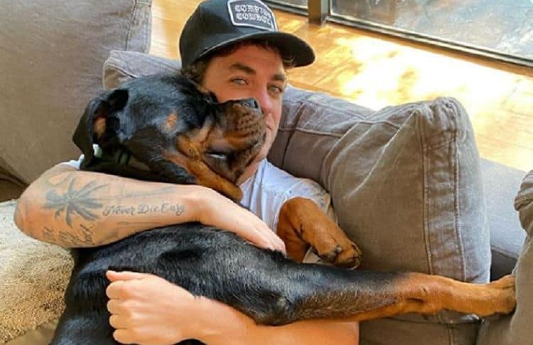 10 Things You Didn’t Know About Alex Fine – TVovermind