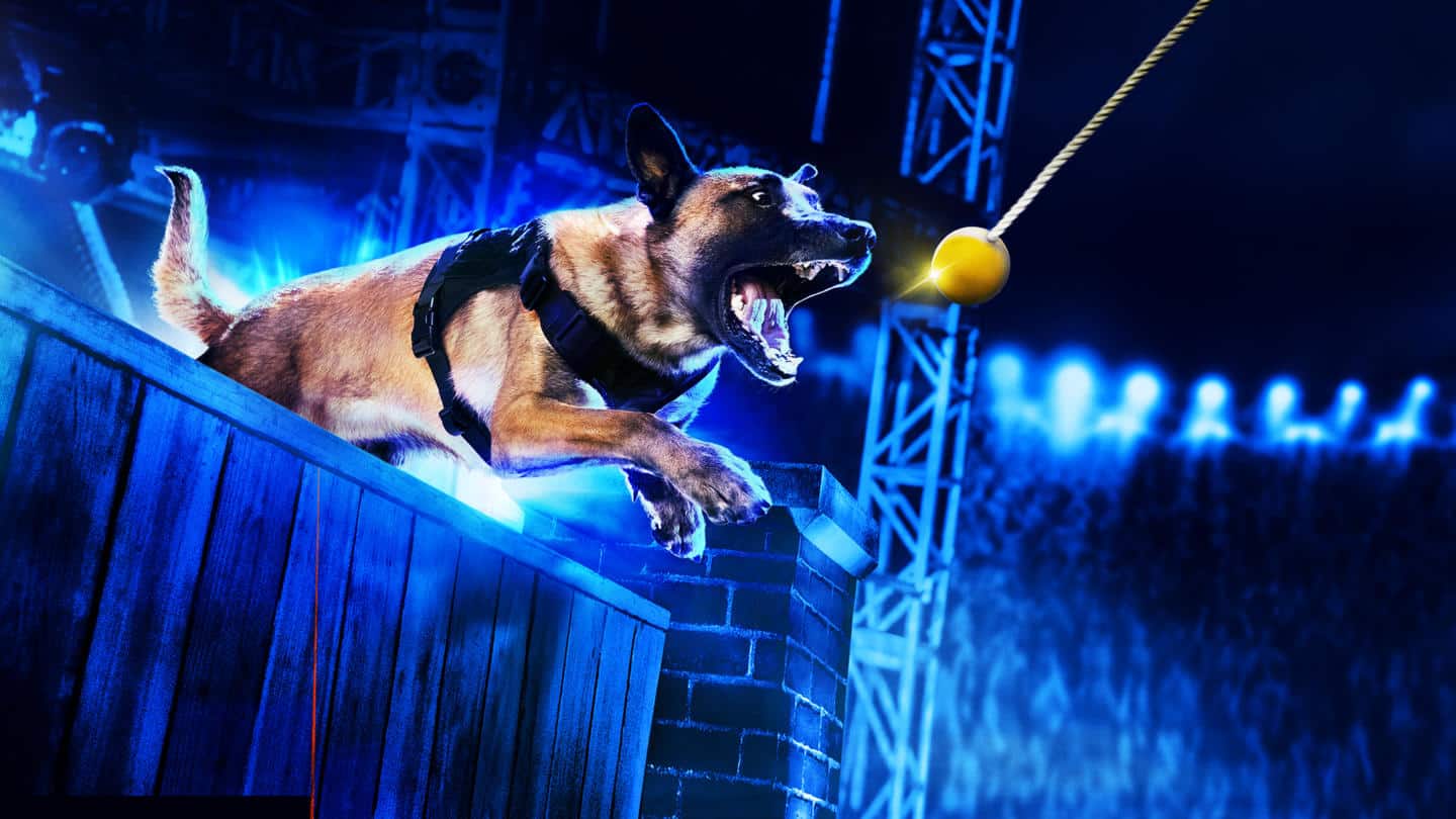 10 Things You Didn’t Know About America’s Top Dog - TVovermind