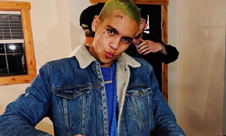 10 Things You Didn’t Know about Dominic Fike - TVovermind