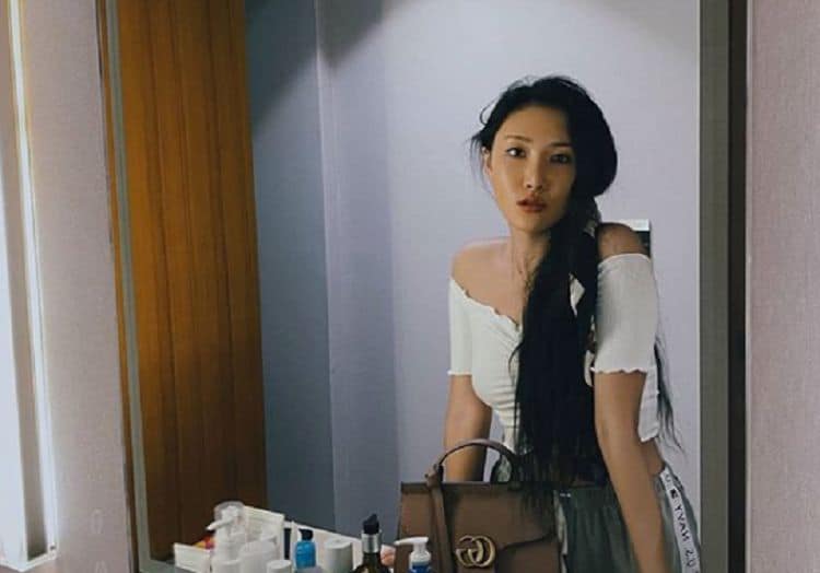 Unveiling Hwasa: 10 Fascinating Facts About the South Korean Superstar ...