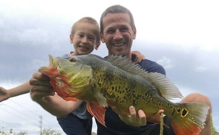 10 Things You Didn’t Know about JP Rosenbaum – TVovermind