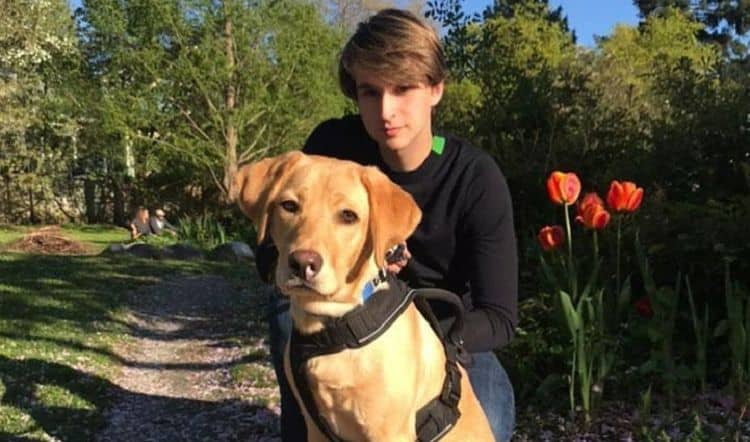 10 Things You Didn’t Know about Grayson Maxwell Gurnsey – TVovermind