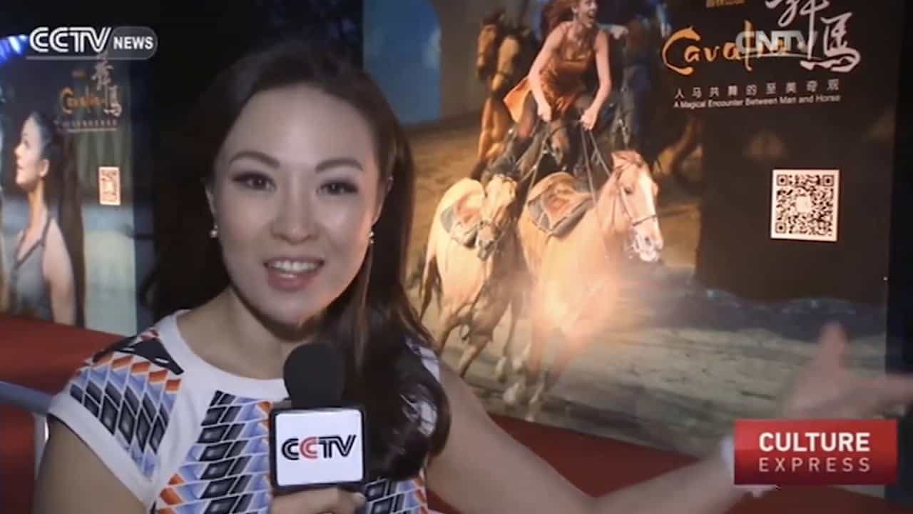 10 Things You Didn’t Know about Jennifer Hsiung - TVovermind