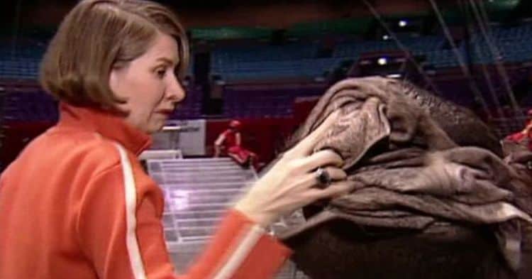 10 Things You Didn’t Know about Jeanne Moos – TVovermind