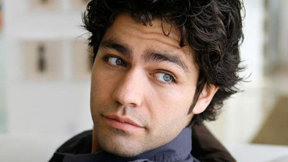Whatever Happened to Adrian Grenier? - TVovermind