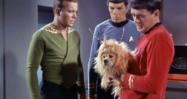 The Reason Captain Kirk Wore That Green Tunic Some Episodes – TVovermind