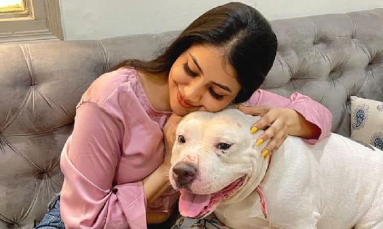 10 Things You Didn’t Know about Yashi Tank – TVovermind