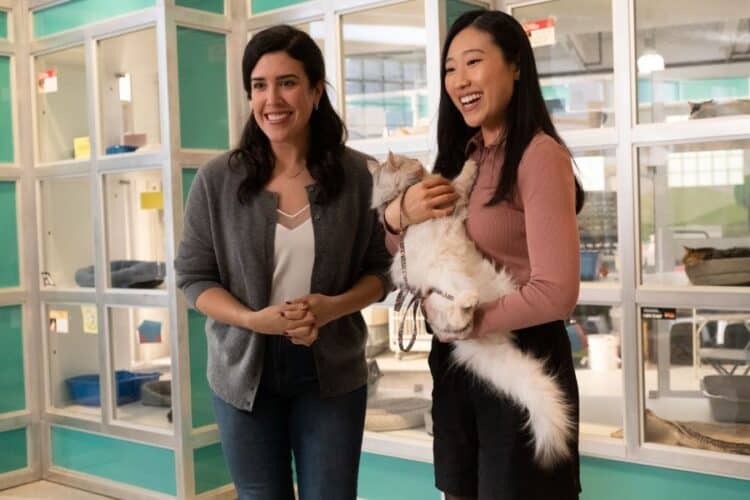 Meet The Cast Of “Strays” - TVovermind