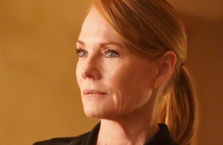 Meet the Cast of CSI: Vegas Season Two