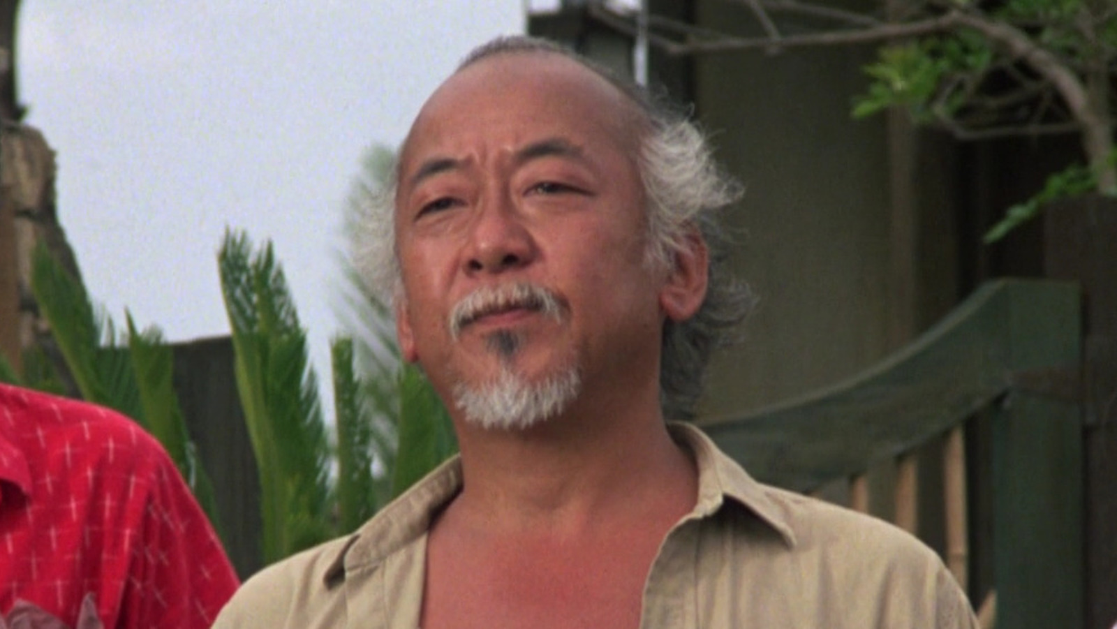 A Mr. Miyagi Prequel Might be Interesting - TVovermind