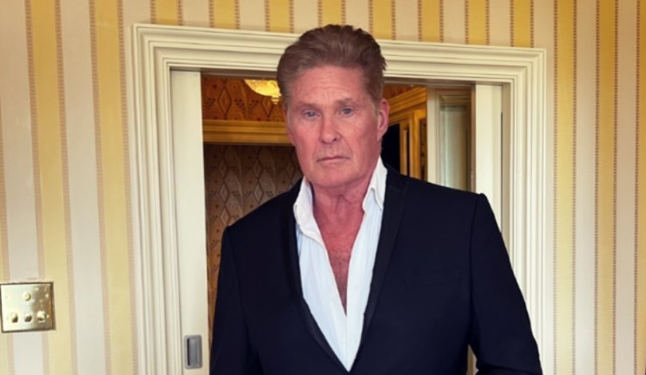 Five Things You Did Not Know About David Hasselhoff - TVovermind