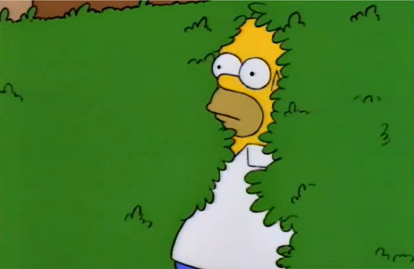 The Context Behind 5 Famous Homer Simpson Memes – TVovermind