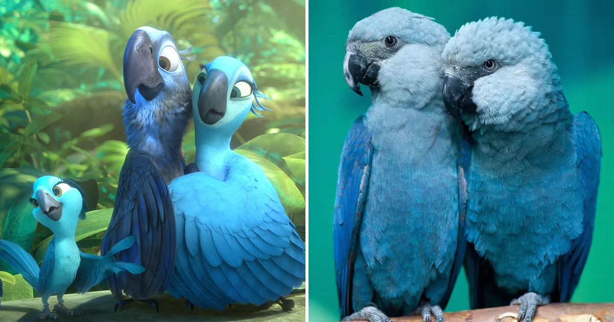 10 Famous On-Screen Birds And Their Species – TVovermind