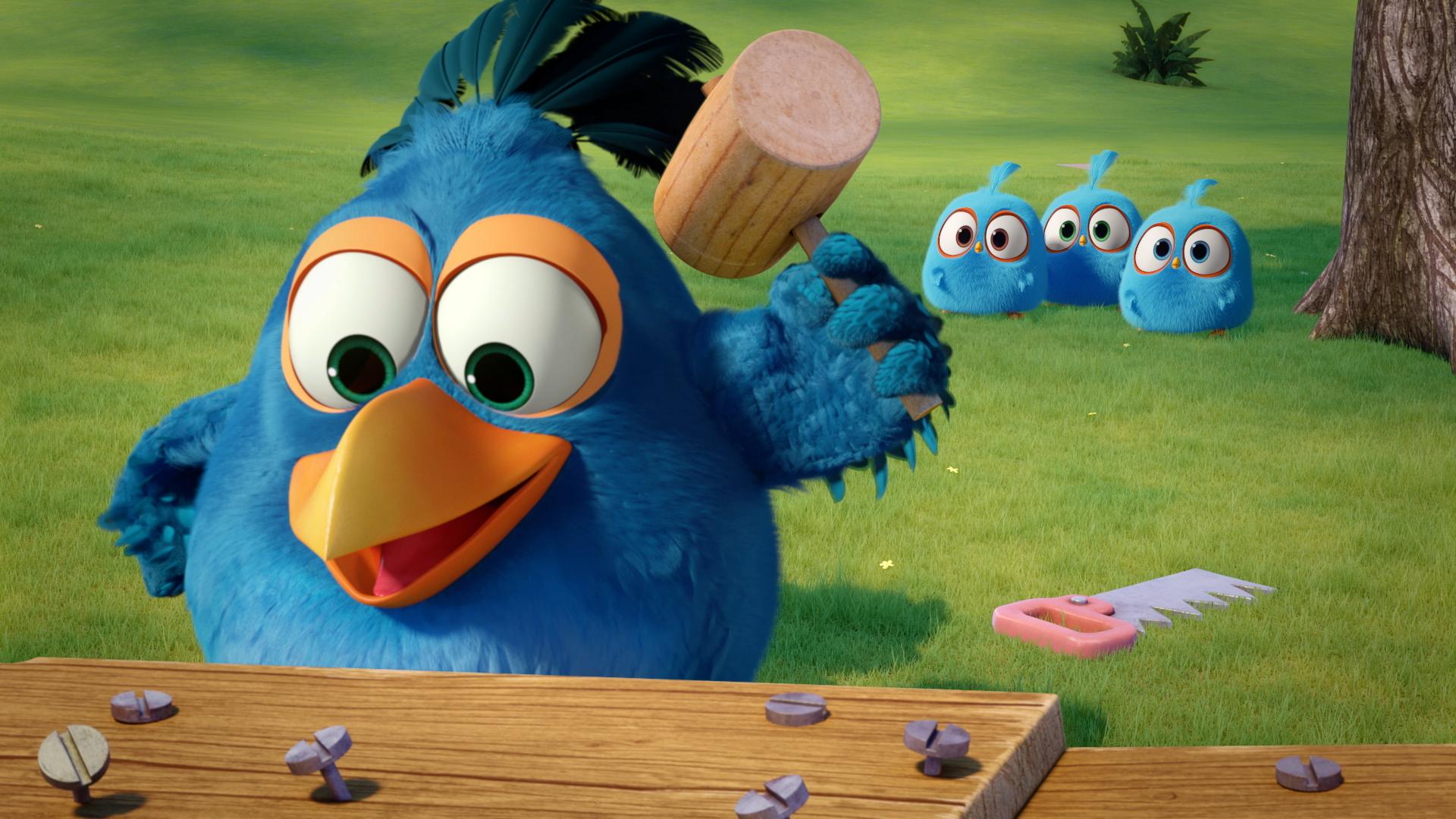 10 Famous On-Screen Birds And Their Species – TVovermind