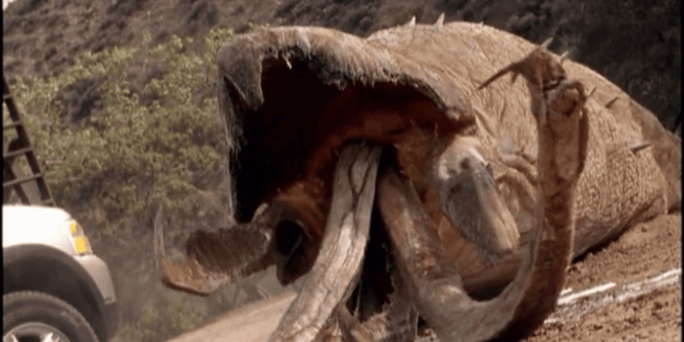 7 Best Times Another Franchise Used Dune’s Sandworm Idea - TVovermind