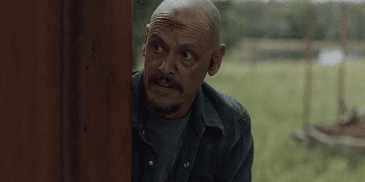 6 Things You Didn’t Know About Mr Inbetween’s Scott Ryan – TVovermind