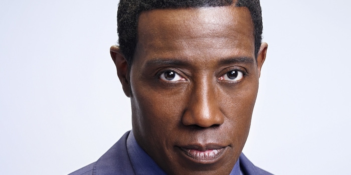 Wesley Snipes: A Journey Through His Career and Life
